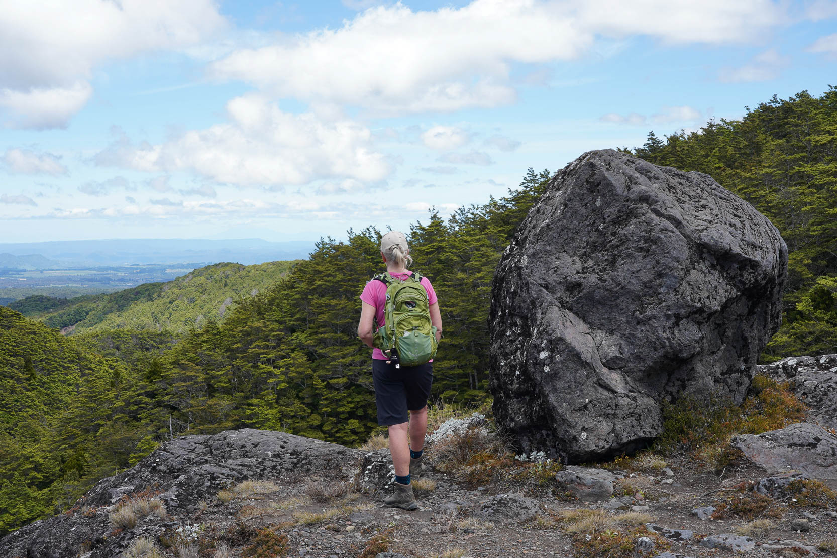 To Joe’s Hut – Tracy Annenberg