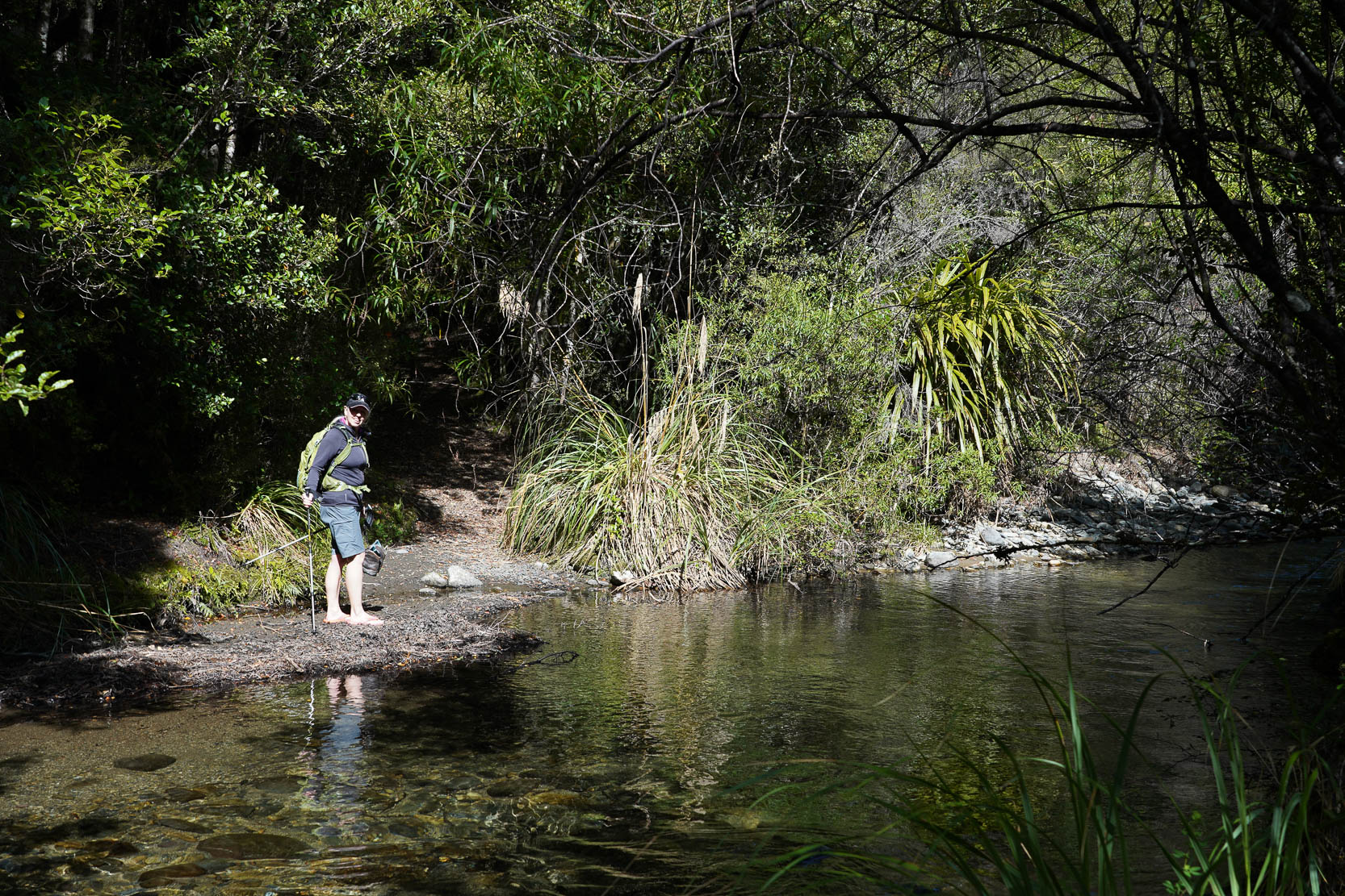 Tree Trunk Gorge – Tracy Annenberg