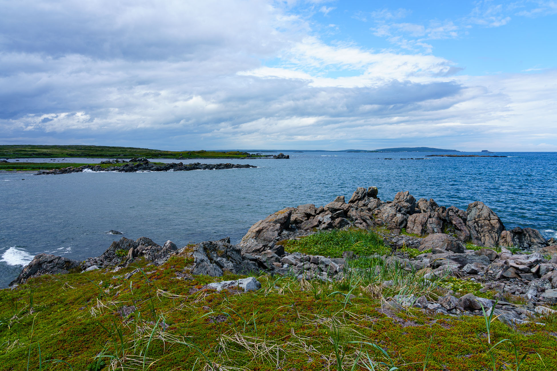 Visiting Vikings – Tracy Annenberg